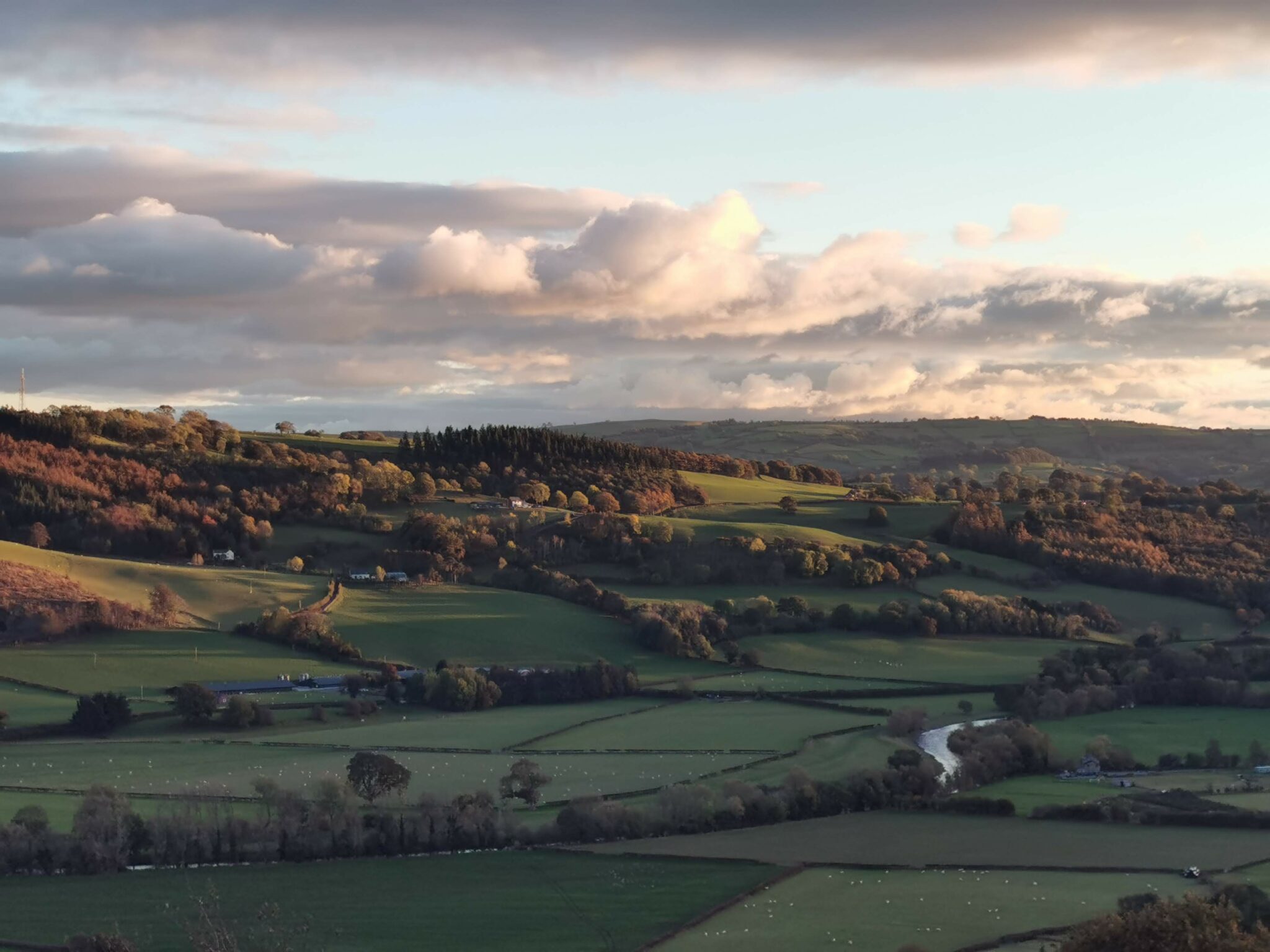 Design your LNRS to Deliver for Plants and Fungi - Plantlife