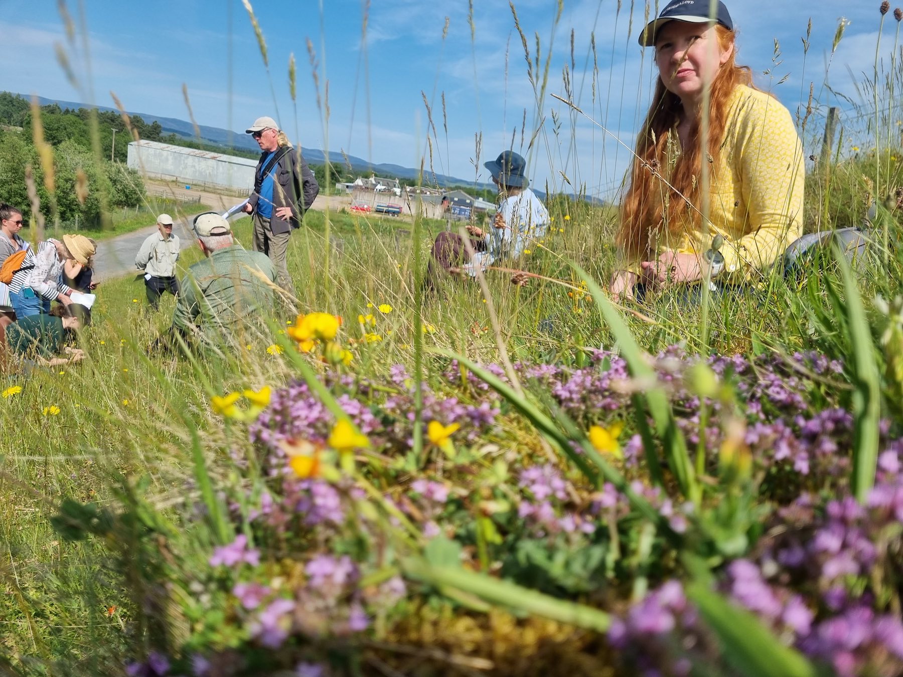 How to make a Pollinator Friendly Garden - Plantlife