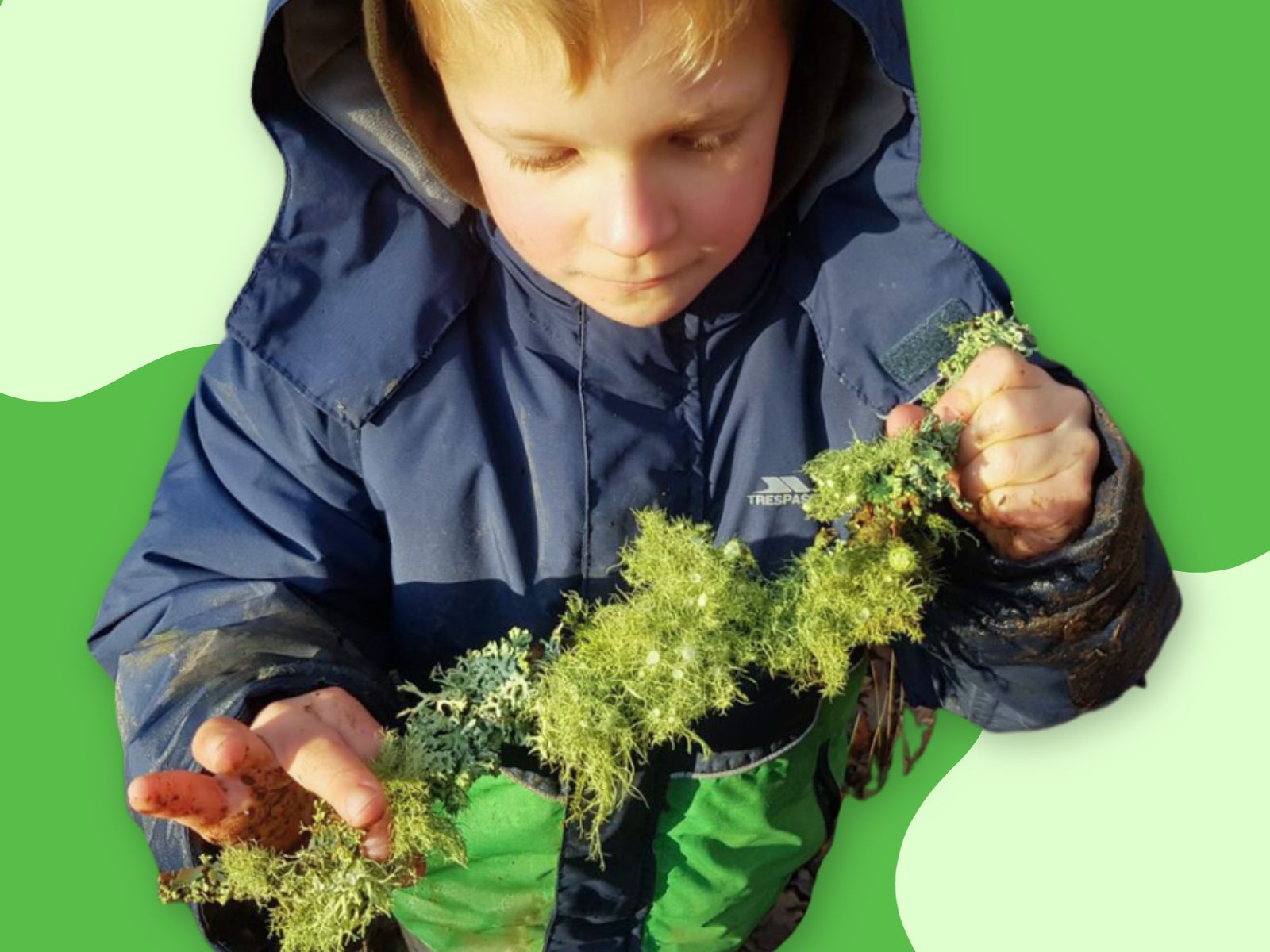 Let’s learn about… Lichens - Plantlife