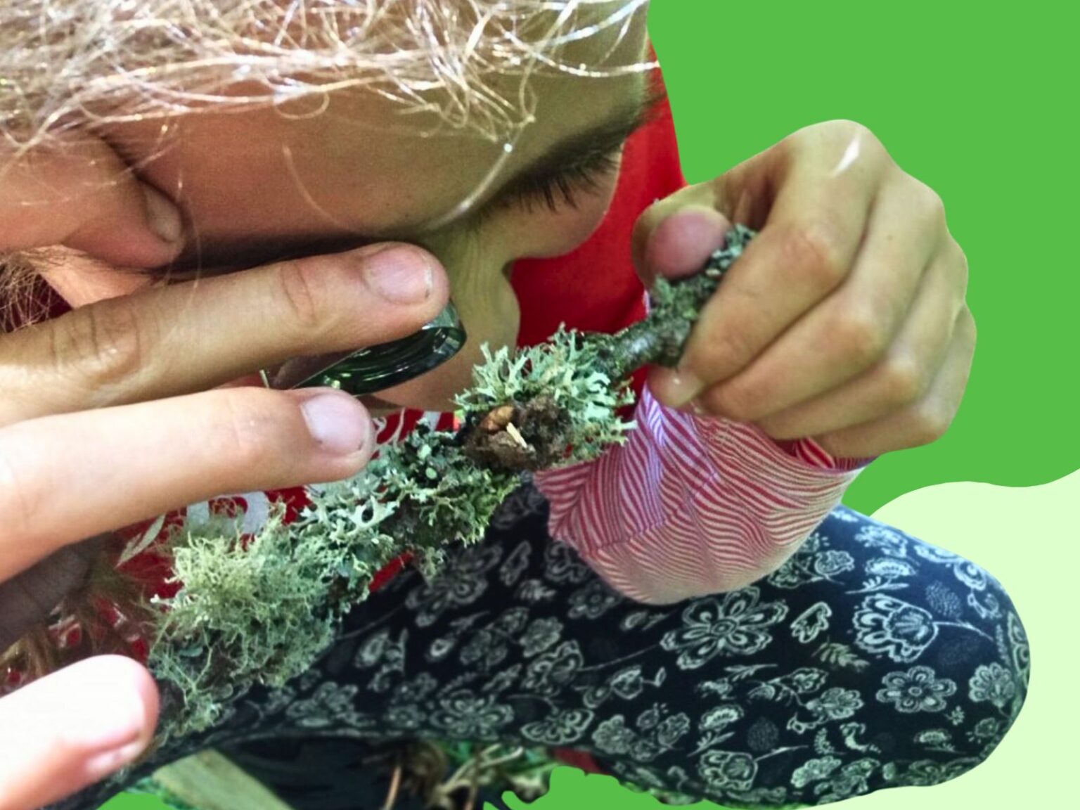 Let’s learn about… Lichens - Plantlife