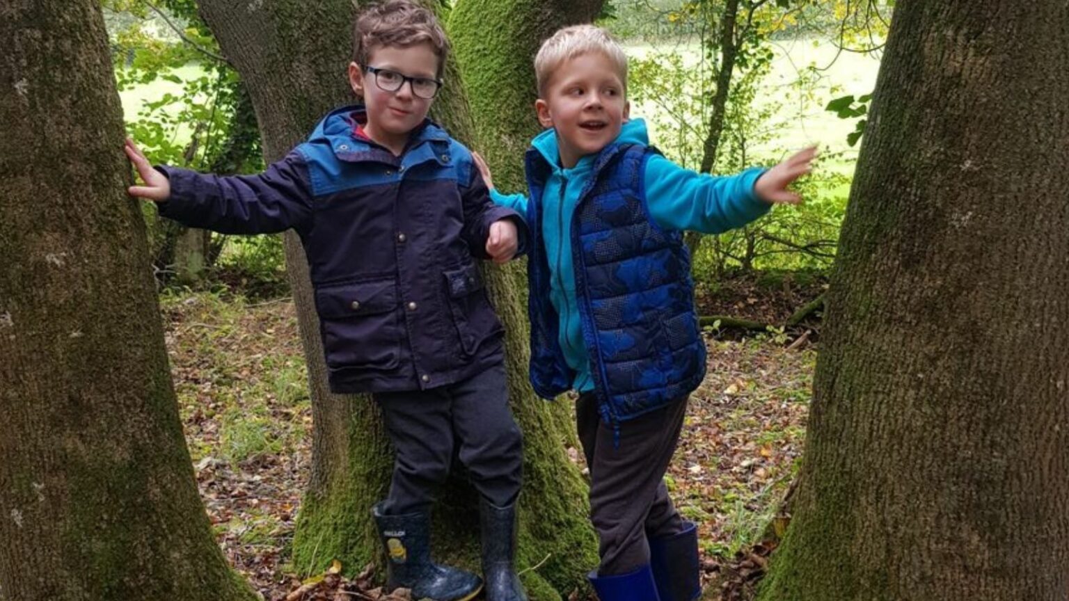 Let’s learn about… Lichens - Plantlife