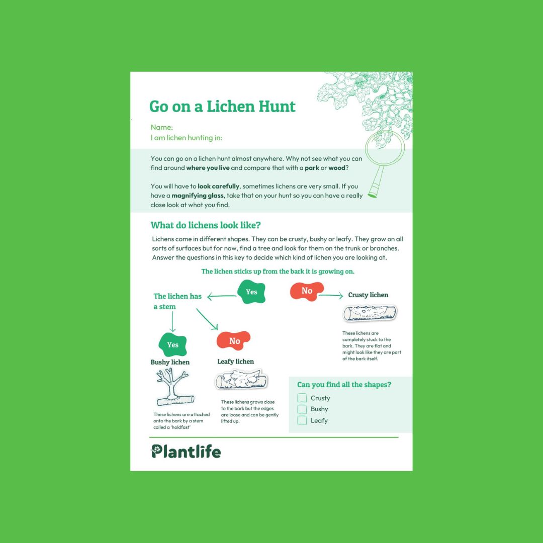 Let’s learn about… Lichens - Plantlife