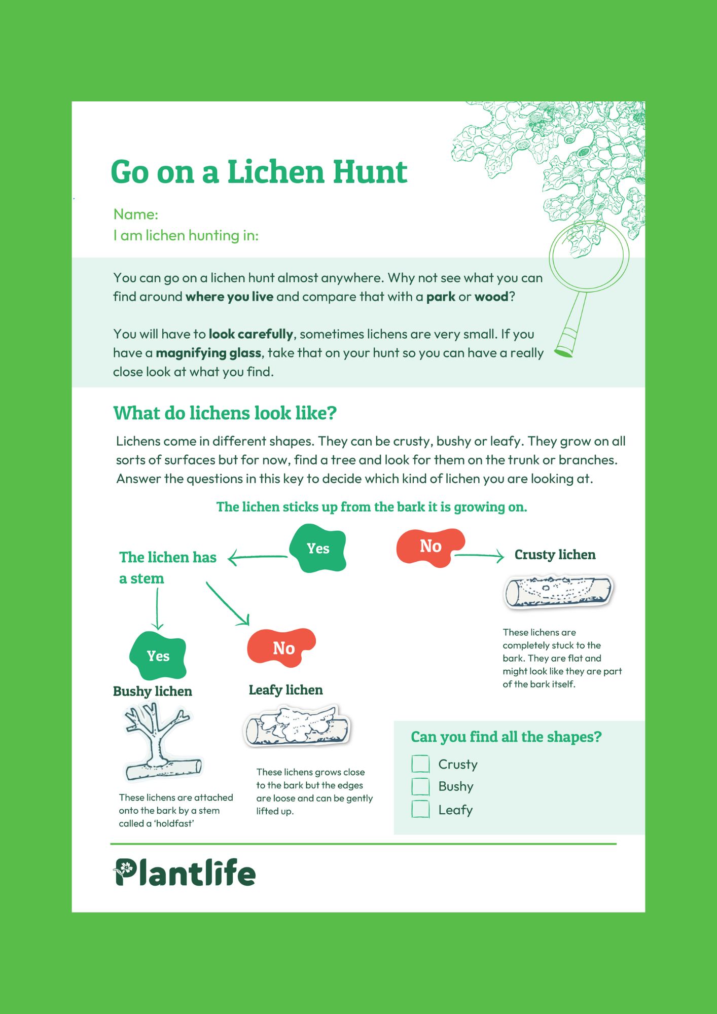 Let’s learn about… Lichens - Plantlife