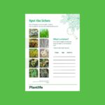 Let’s learn about… Lichens - Plantlife