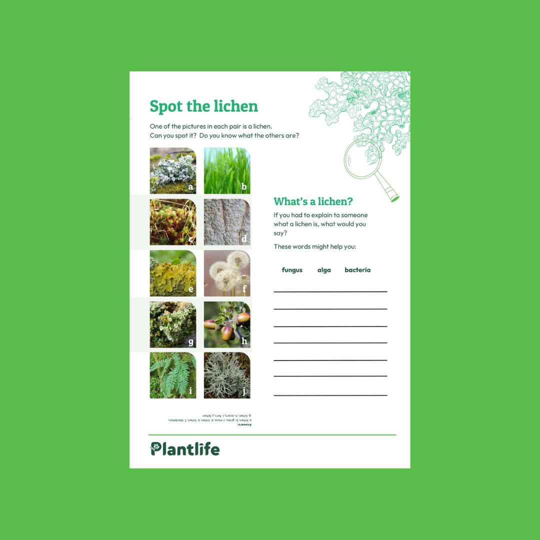 Let’s learn about… Lichens - Plantlife