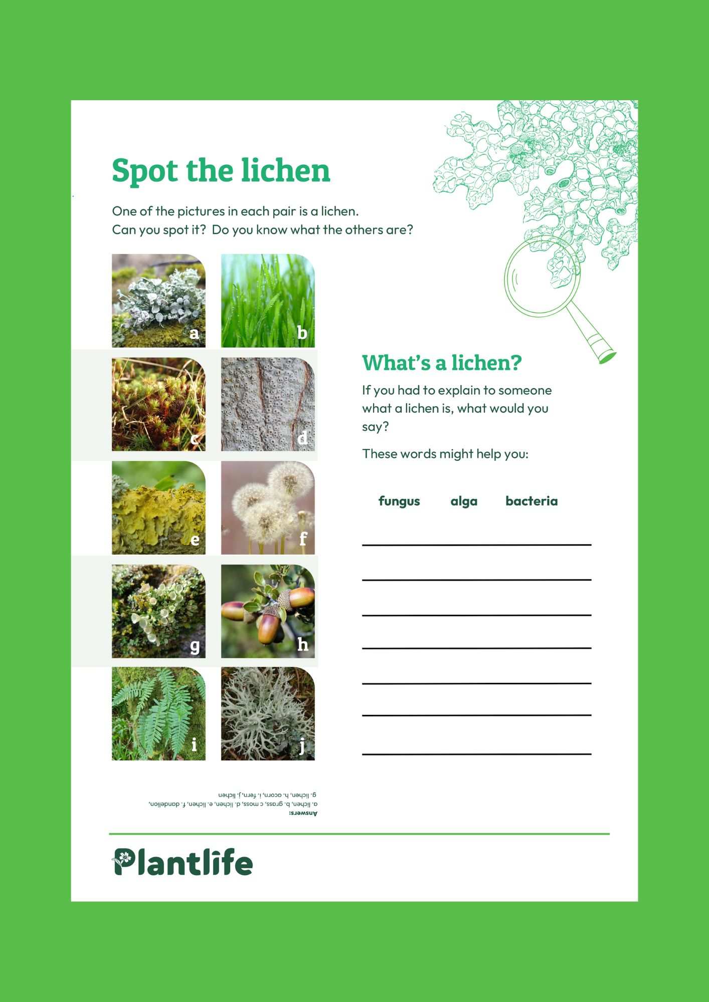 Let’s learn about… Lichens - Plantlife