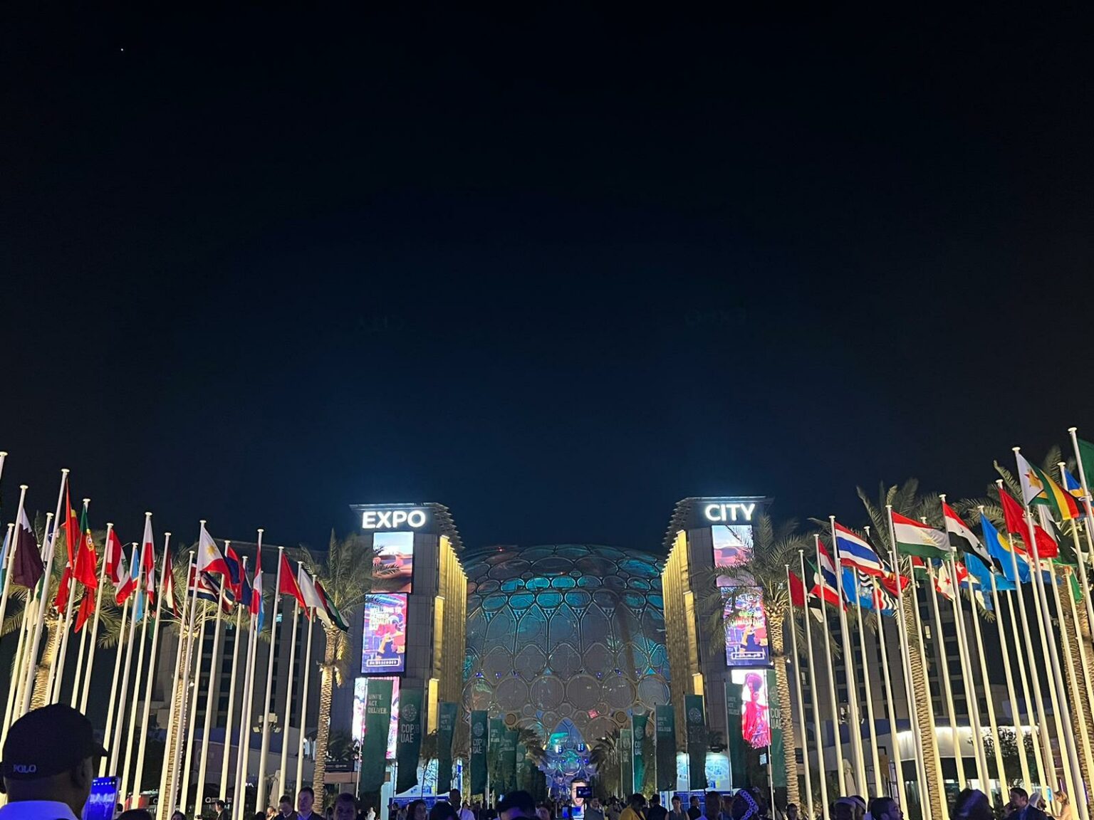 COP28: Success for Farming, Food and Biodiversity - Plantlife