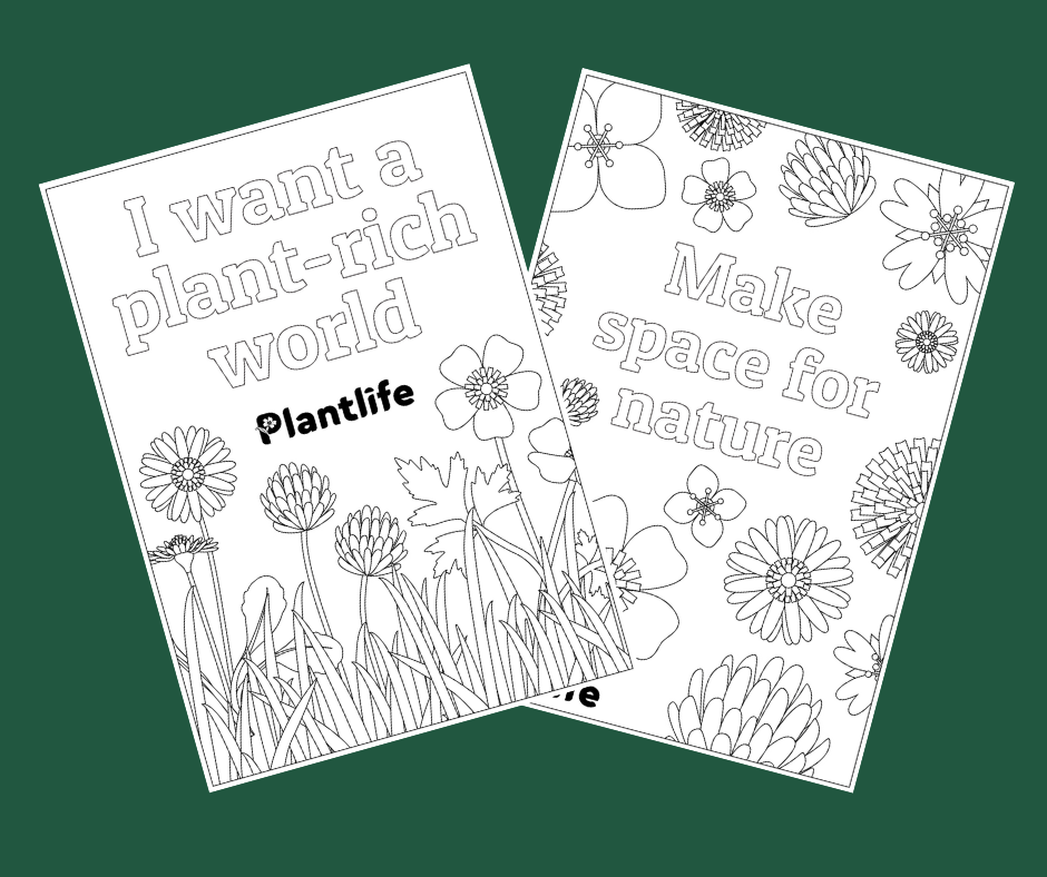 Restore Nature Now March - Plantlife