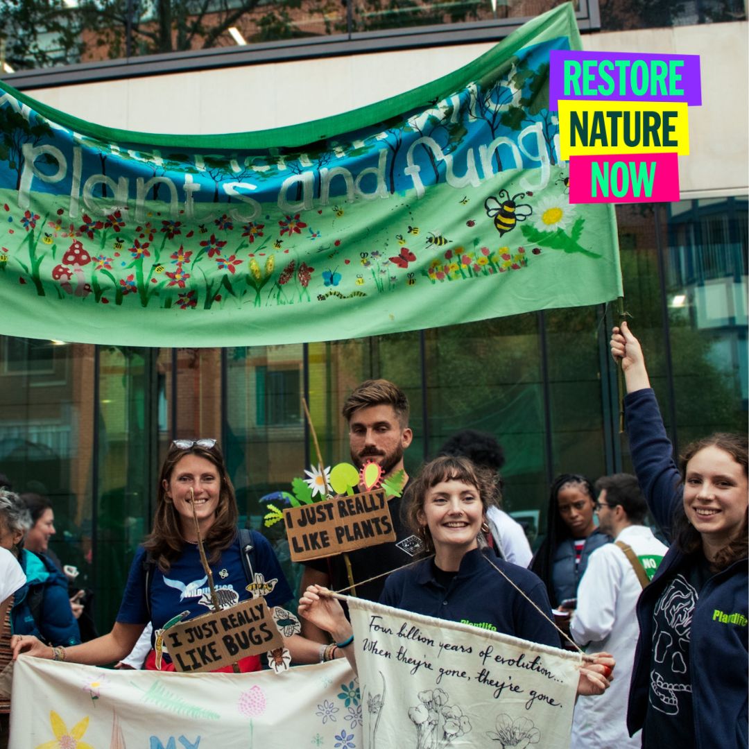 Restore Nature Now March - Plantlife