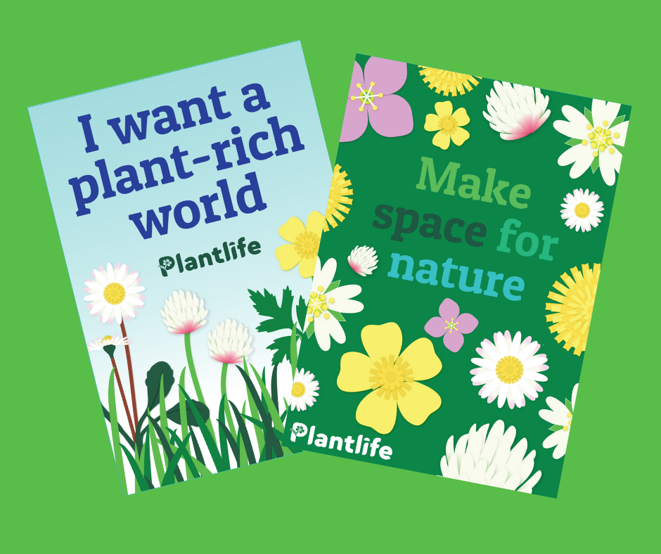 Restore Nature Now March - Plantlife