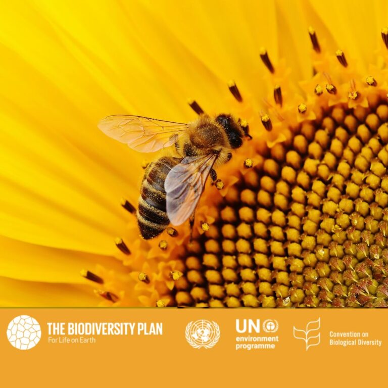 What's On - Plantlife