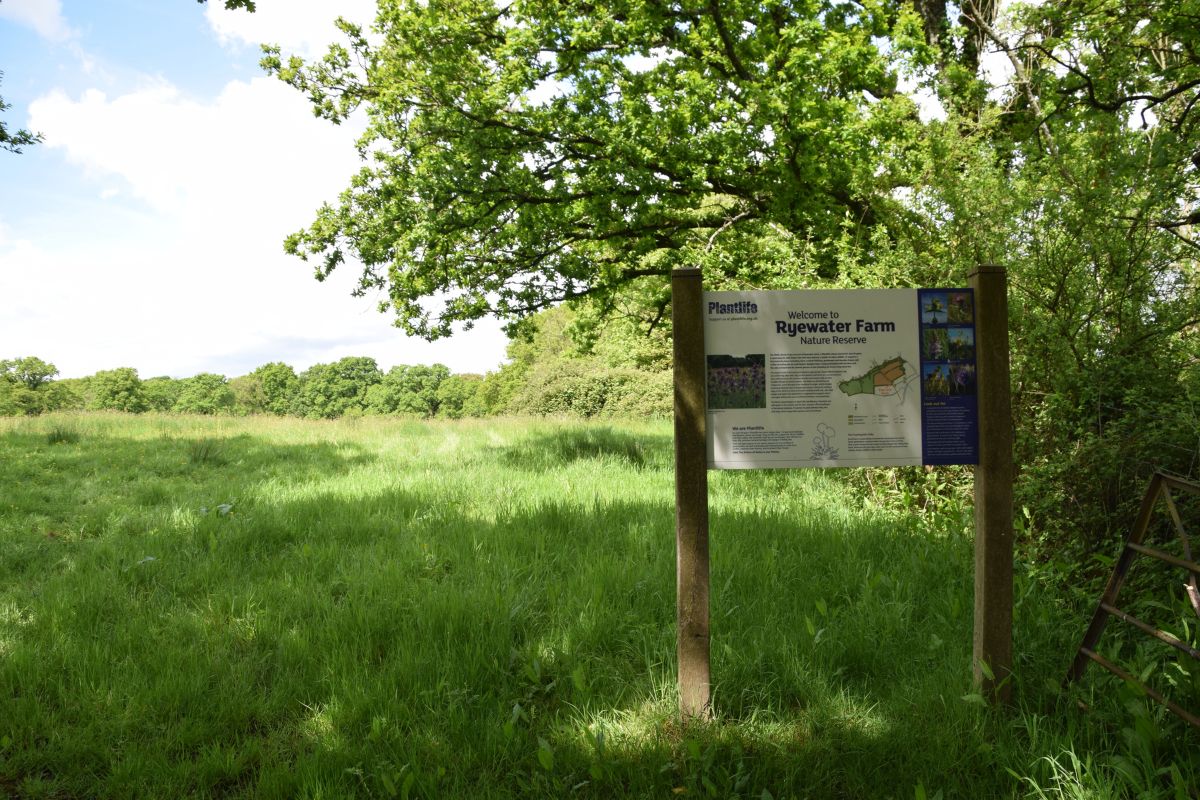 Ryewater Farm Nature Reserve - Plantlife