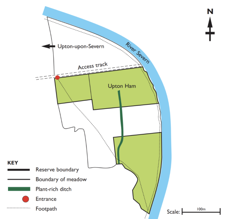 Upton Ham Nature Reserve - Plantlife