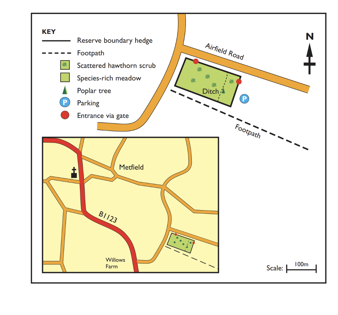 Winks Meadow Nature Reserve - Plantlife