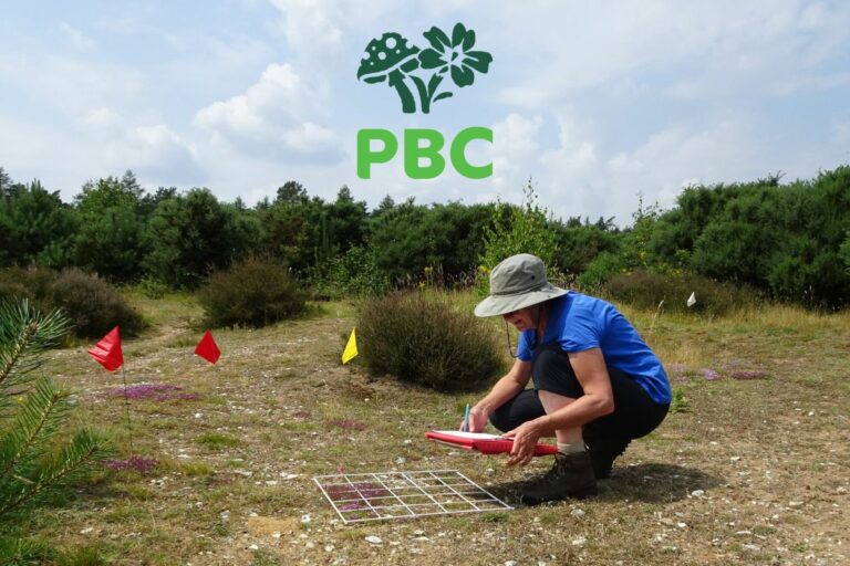 Managing Meadows - Plantlife