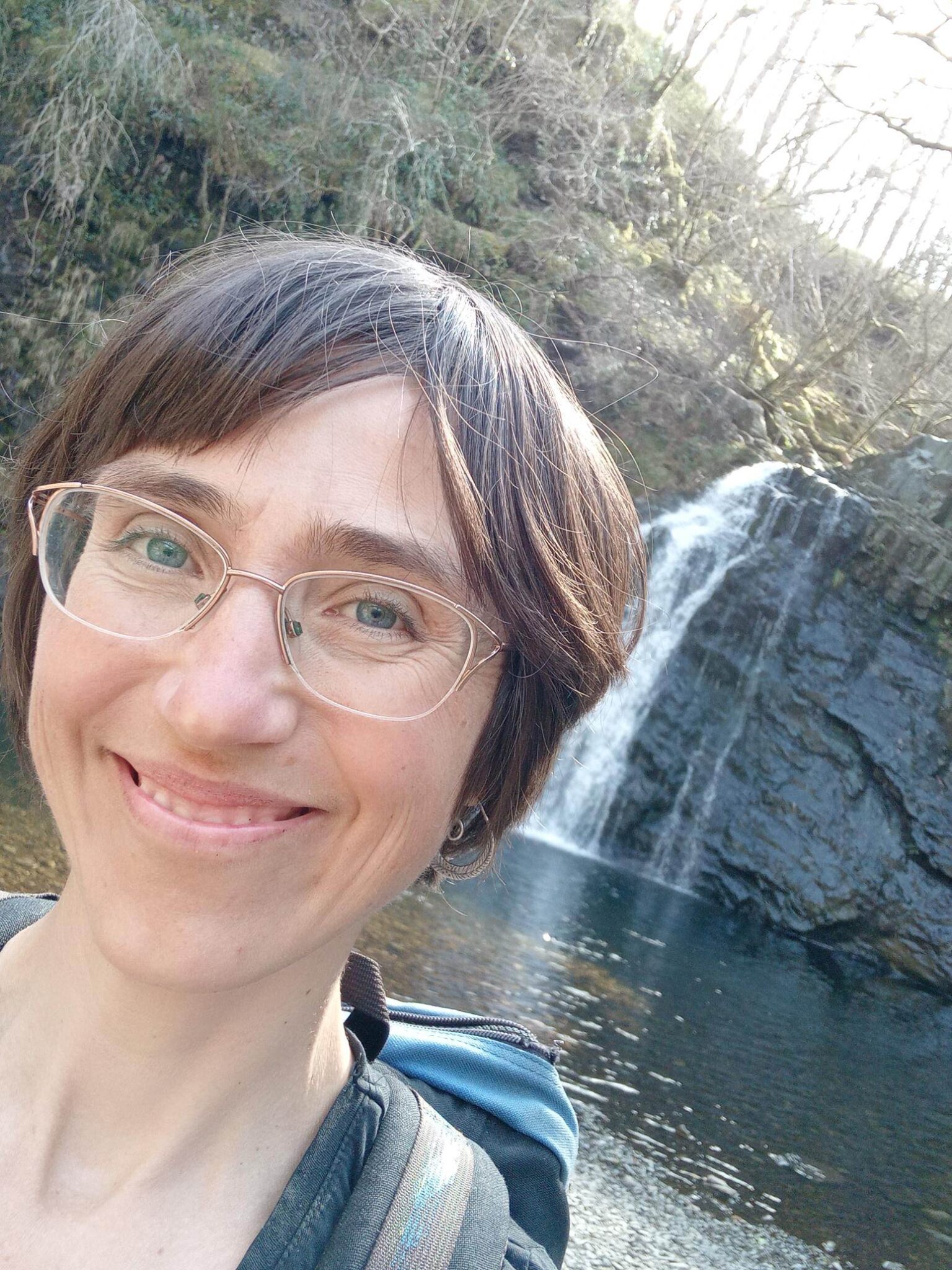 Member Talk: Why Temperate Rainforests in Britain Matter - Plantlife