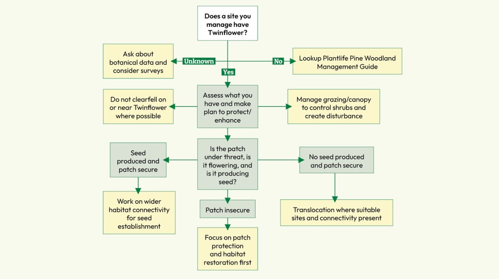 Managing Twinflower - Plantlife