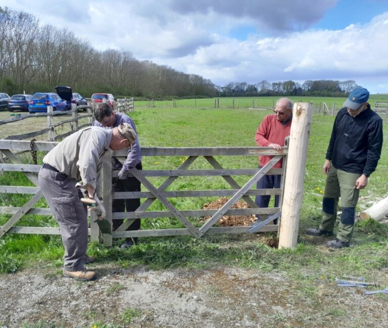 Volunteer - Plantlife